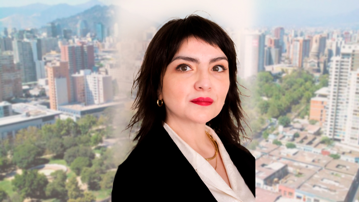 Sara Moreno, sobre los daños punitivos: "Los Frankenstein jurídicos me ...