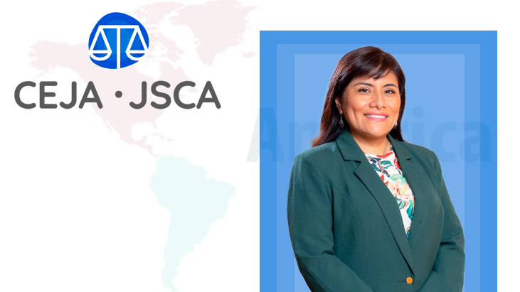 Nueva directora del CEJA: "Se necesita solidez institucional para poder ...