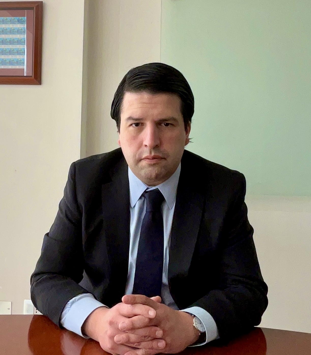 La acción de inaplicabilidad constitucional en la propuesta de Nueva ...