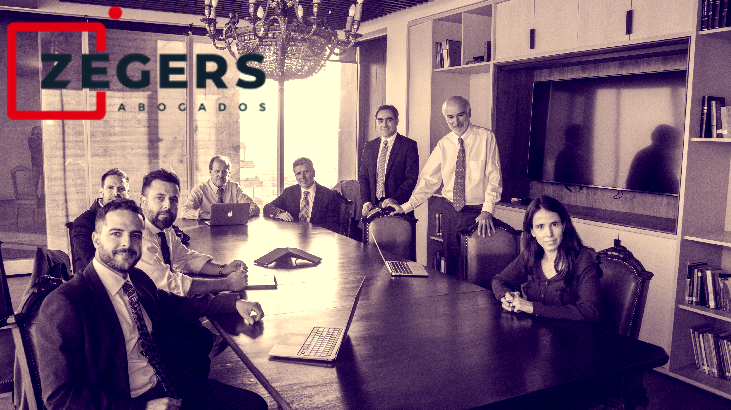 Zegers, nuevo estudio dedicado a la litigación compleja - Idealex